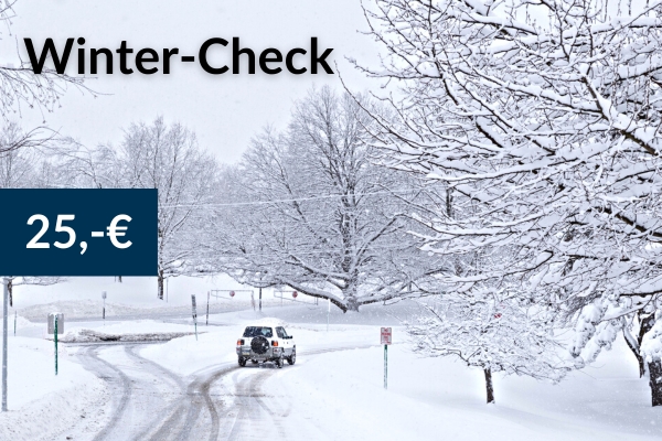 Bosch Car Service - Ford Autohaus Schmid Vöhringen Rottweil Balingen